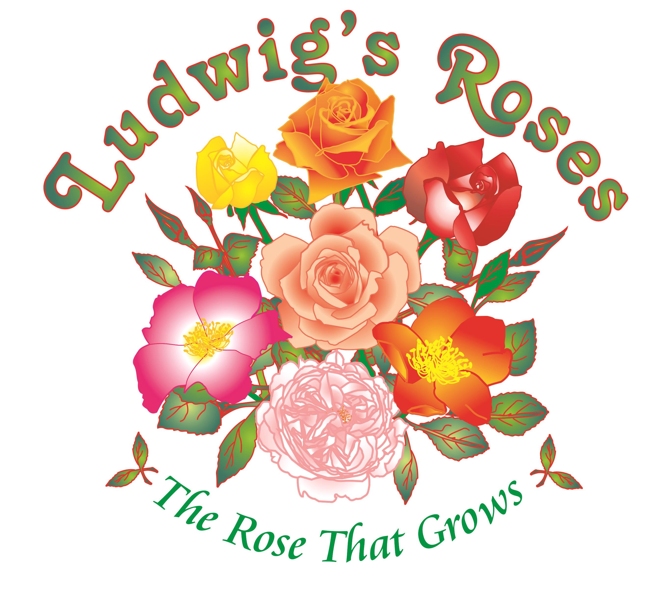 Ludwig's Roses Main Farm in Pretoria, GP